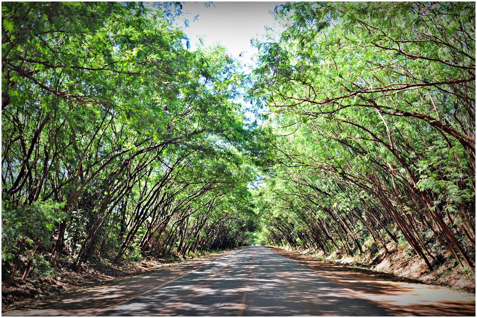 GOBERNACIÓN ALTO PARANÁ: ALTO PARANÁ Y SUS ATRACTIVOS