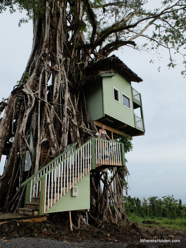 WhereIsHolden?: Samoa Treehouse