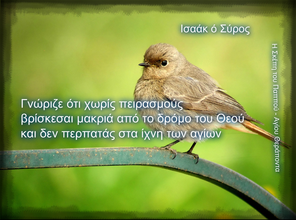 ΕΙΠΕ ΓΕΡΩΝ...: ΡΗΤΑ ΑΓΙΩΝ ΠΑΤΕΡΩΝ