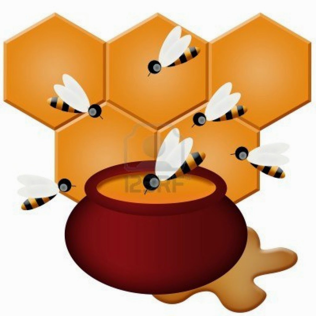 Brisk Infosec - Trusted IT Security Partner : Easy way to set up honeyd ...