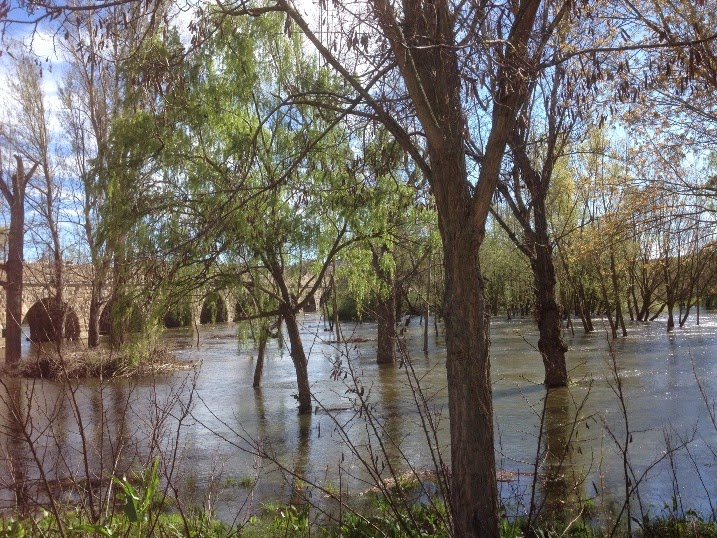 Guias de turismo de Salamanca: EL RÍO TORMES A SU PASO POR SALAMANCA