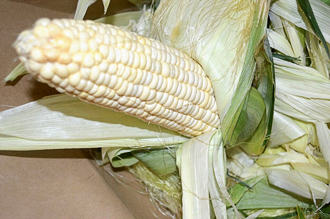 Bubby and Bean ::: Living Creatively: The Perfect Fall Corn Chowder