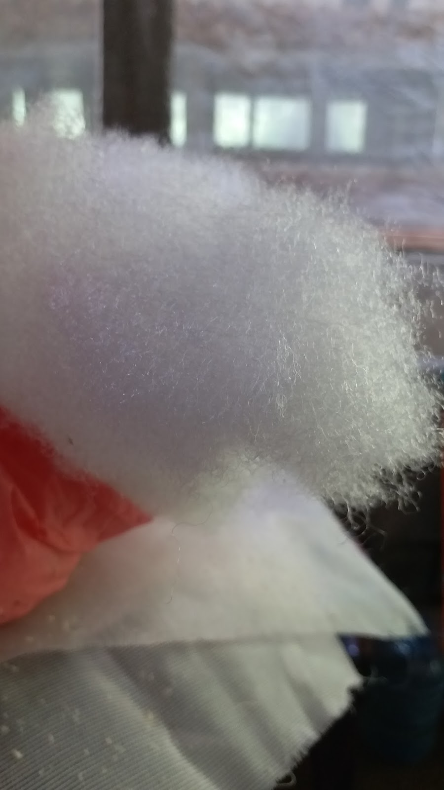 Agriculture of Sri Lanka: Muthubeli Bimmal Pleurotus ostreatus ...