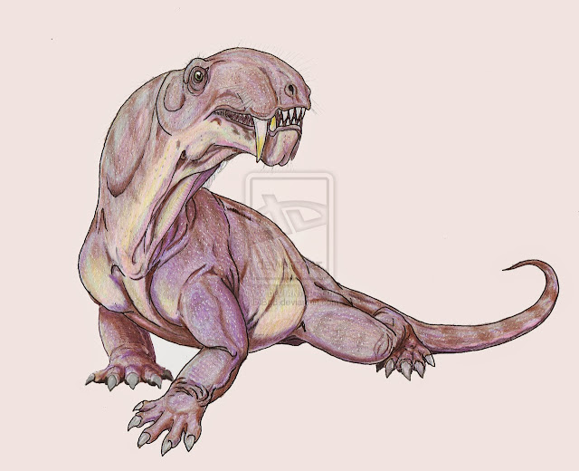 Ciencias de Joseleg: 17 EL CRÁNEO DE LOS SINÁPSIDOS Y LOS MAMÍFEROS