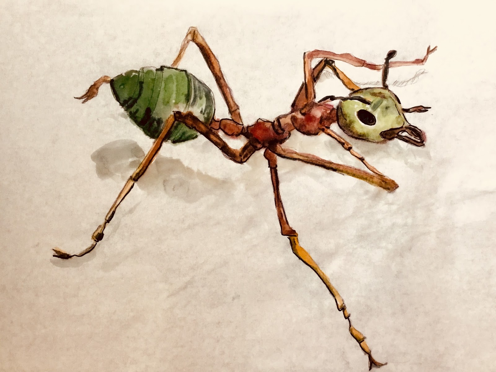 Blog Archives - MICHDEVILISH