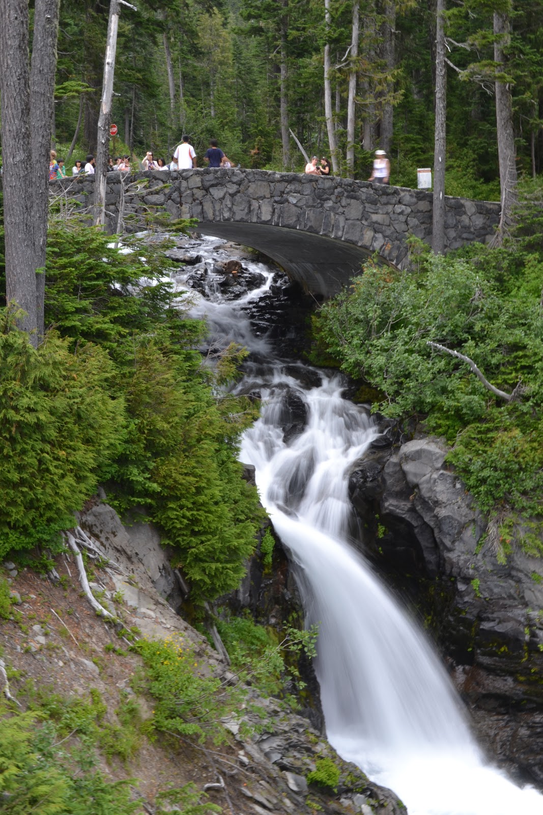 Nanda & Nathan The Travellers: Mount Rainier National Park