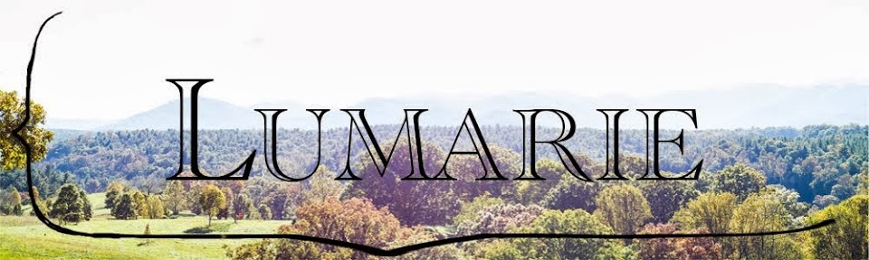 LUMARIE: WALK TO DEFEAT ALS SHIRTS!!!!