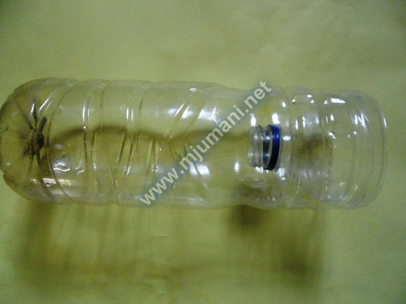 Cara Membuat Perangkap Ikan Belanak Dari Botol