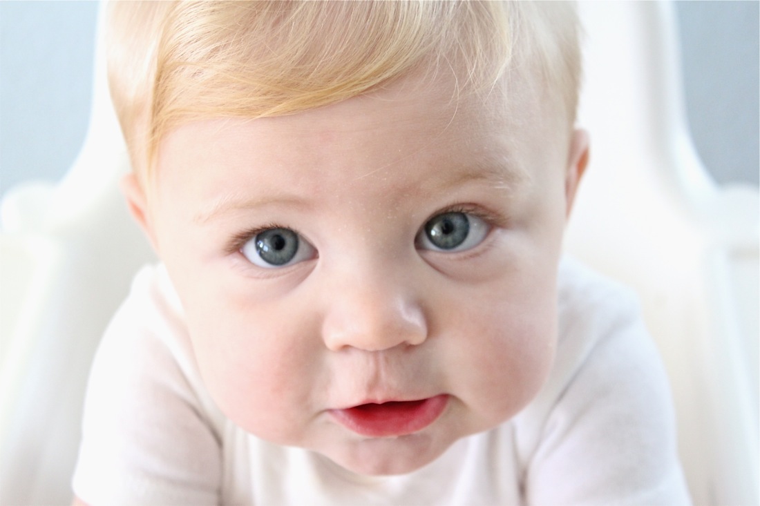 8 months old - MADE EVERYDAY