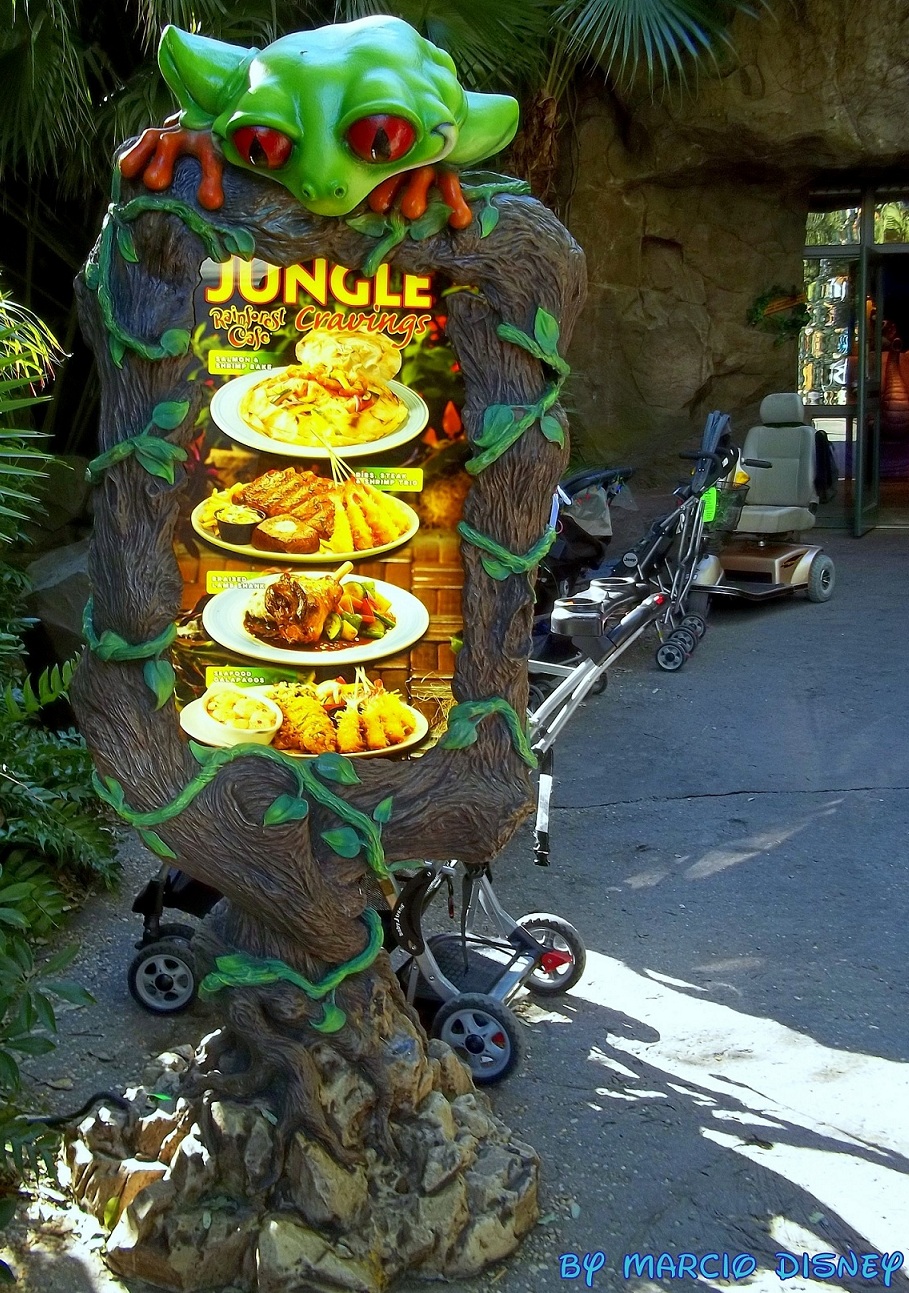 The Walt Disney World Picture of the Day: Frog From Rainforest Cafe [3 ...