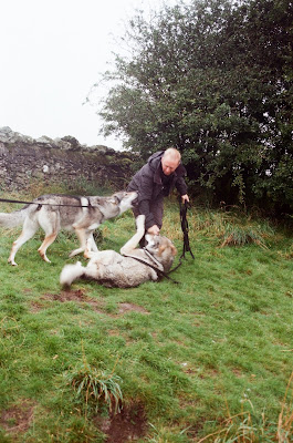 Freddie Patmore: Walking With Wolves In The Lake District