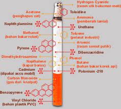 Cigarette Ingredients | ARTICLES ABOUT HEALTHY