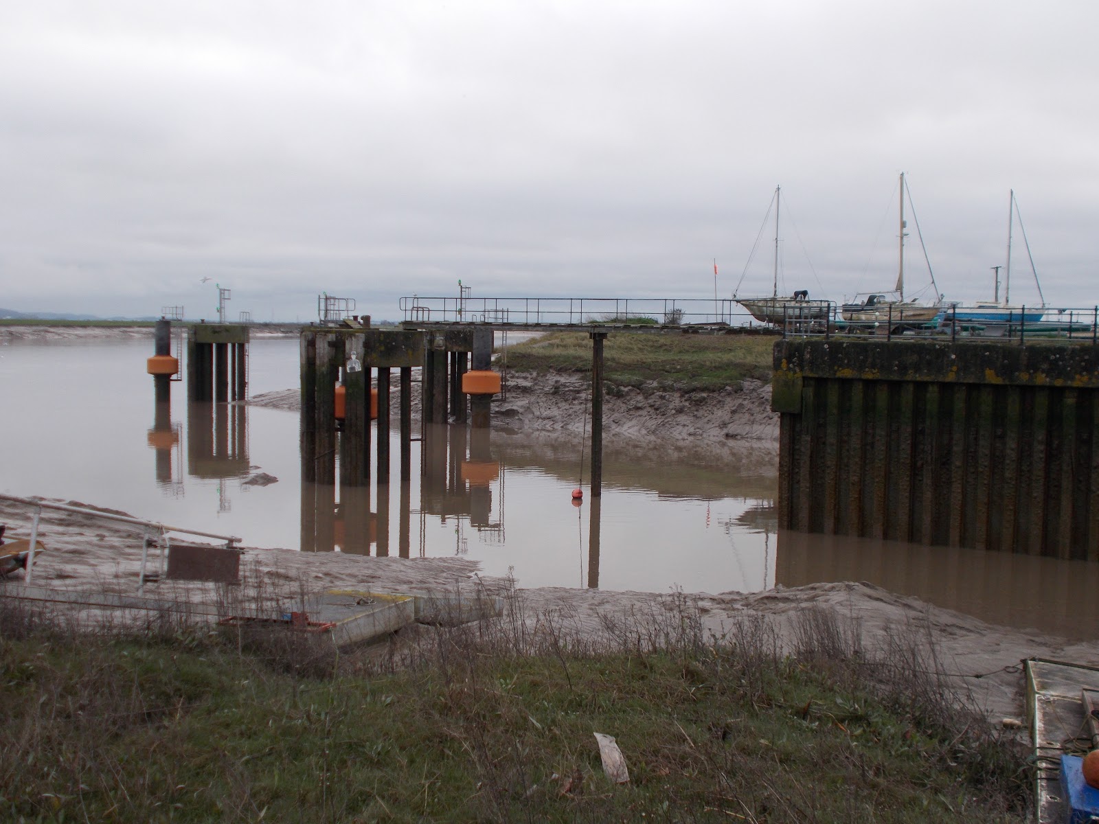 Off the Beaten Track in Somerset: Dolphins in the River Parrett at Combwich