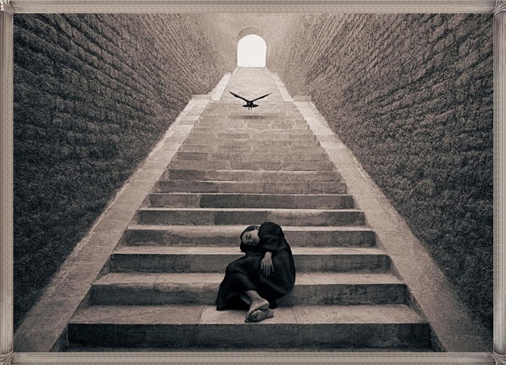 Ostáriz Art Gallery: Gregory Colbert