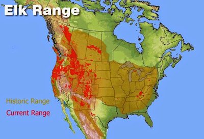 Hope: Elk Populations of the East: Past, Present, and Future, as the ...