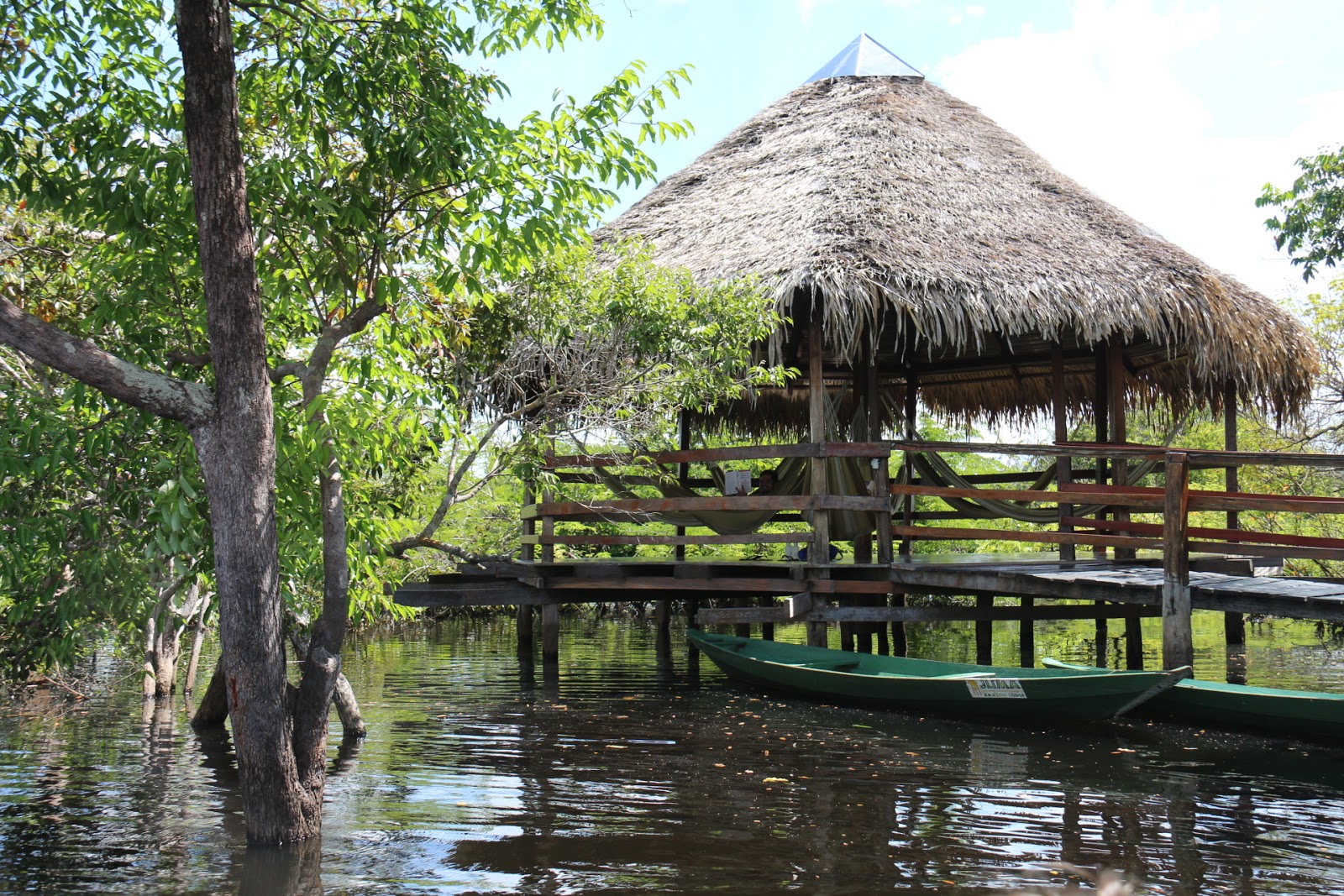 Juma Amazon Lodge: a primeira vez na Floresta Amazônica a gente nunca ...