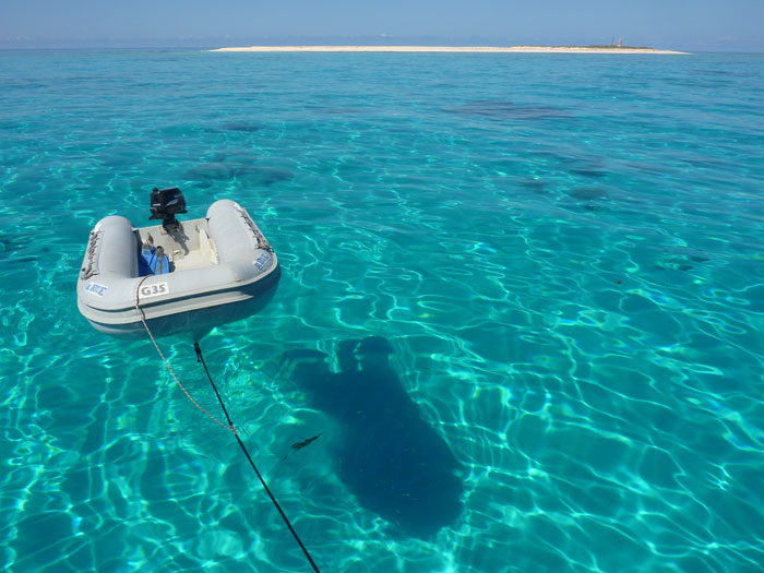 Blog del velero Sirocodiez: Hogsty Reef, un atolón perdido al sur de ...