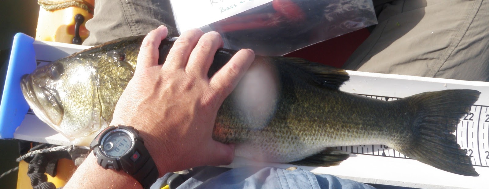 Sweet and Salty Kayak Fishing: DIY Fish Measuring Trough