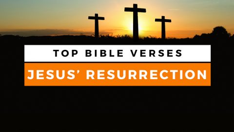 16 Bible Verses about the Resurrection - Holy Bible Knowledge