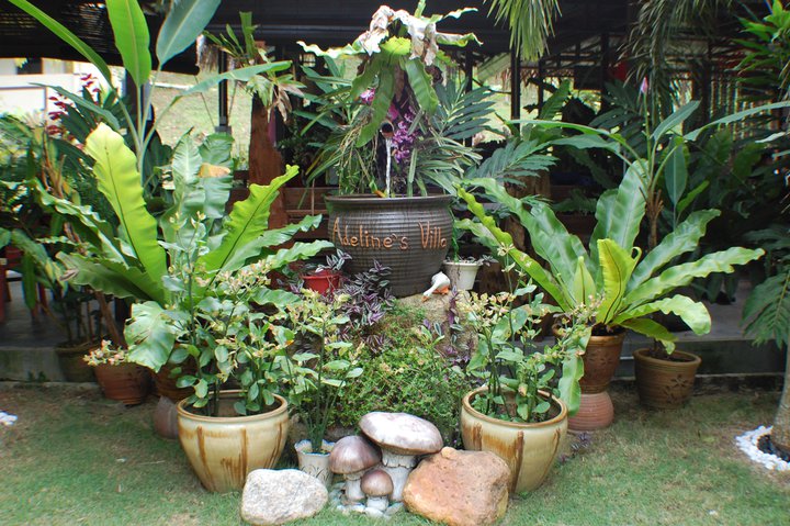 The True Colors: Water Rafting @ Adeline's Villa Gopeng