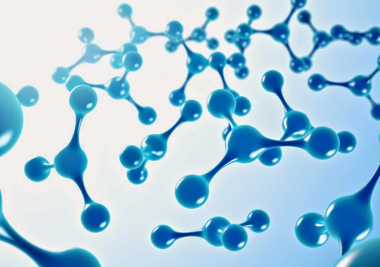 LEZIONI DI GENETICA: L'EPIGENOMA