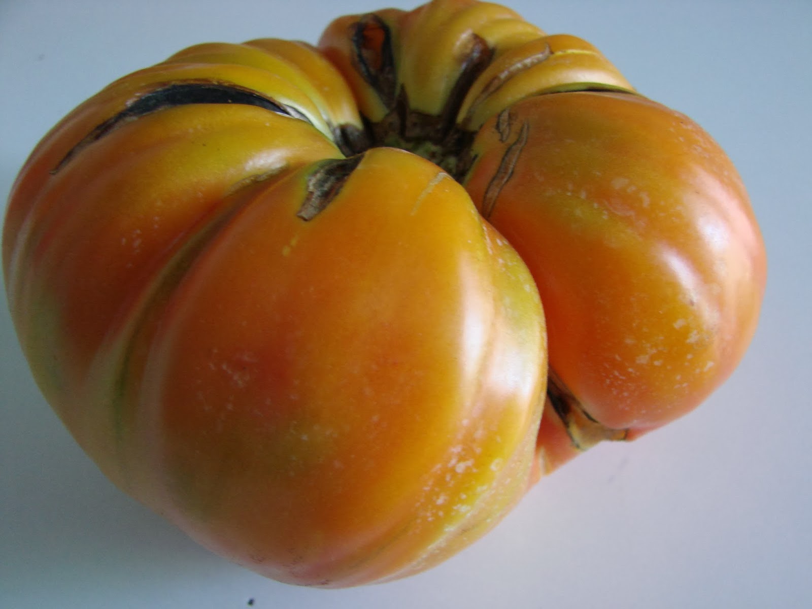 Au jardin d'aurore: Les variétés de tomates