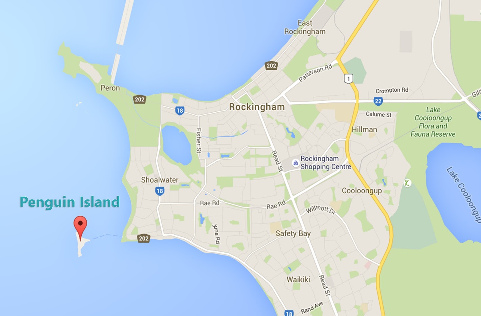 Life's a Fairytale: The Home To The Colony Of Little Penguins - Penguin ...