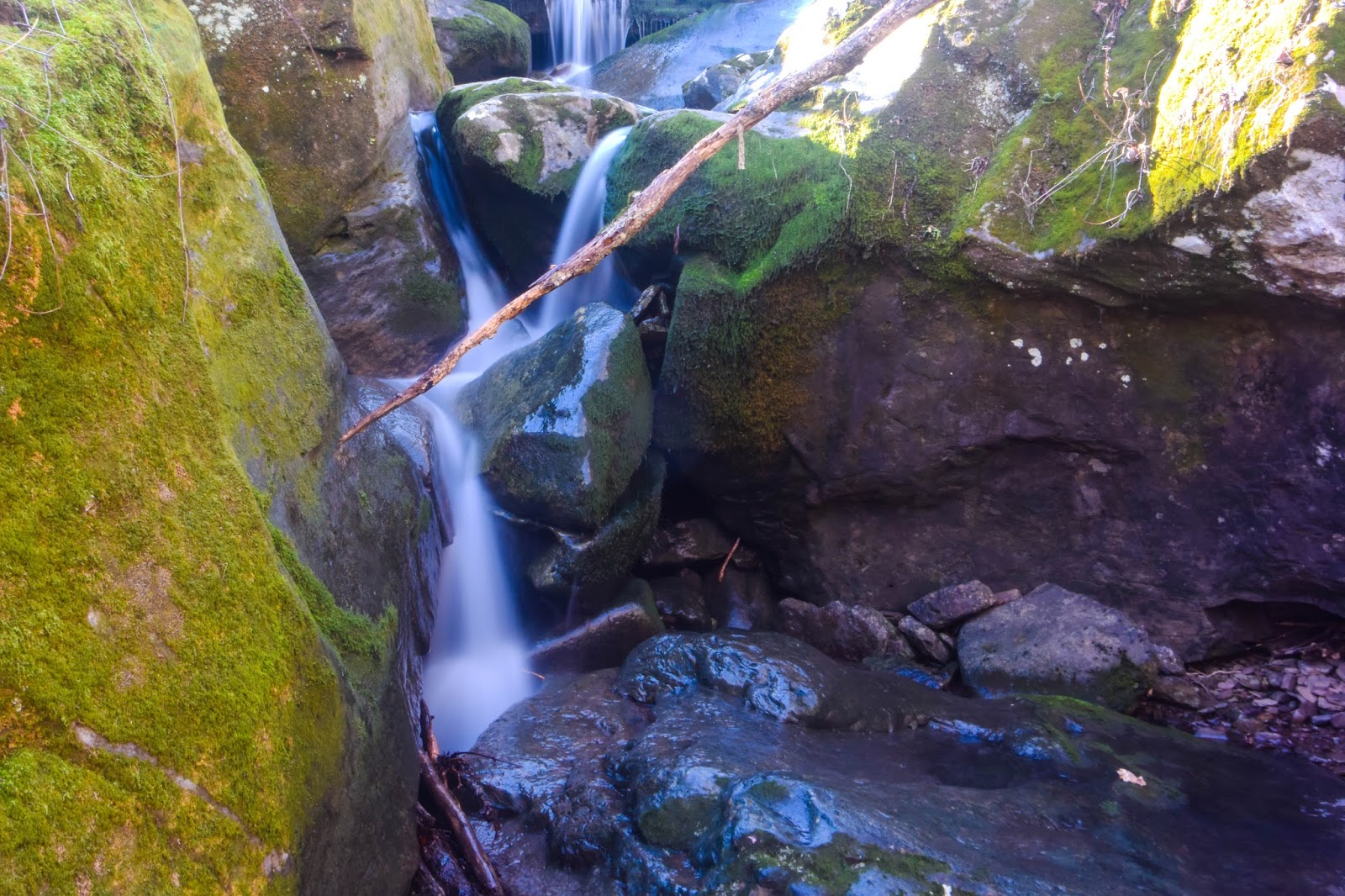 Rick's Hiking Blog: Terwilliger Falls, Pine Hollow, Richland Wilderness ...