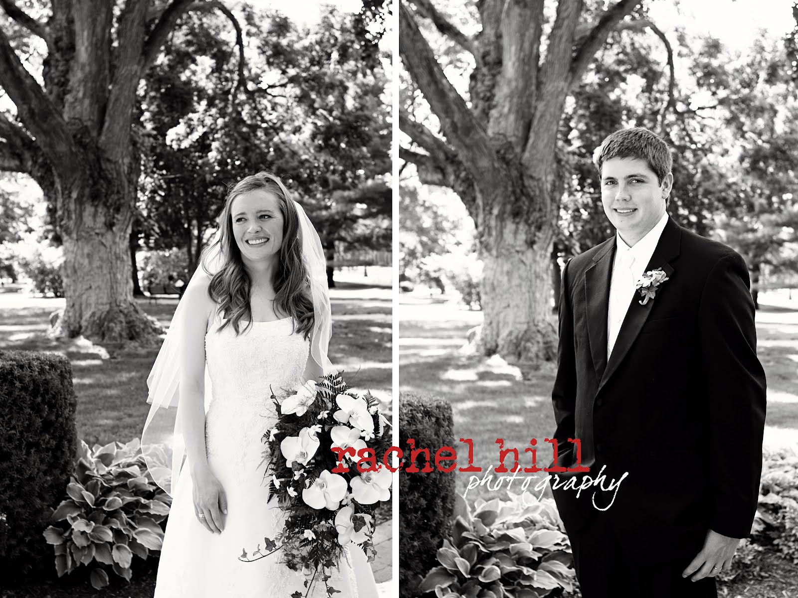 Rachel Hill Photography: Elizabeth + Dominic