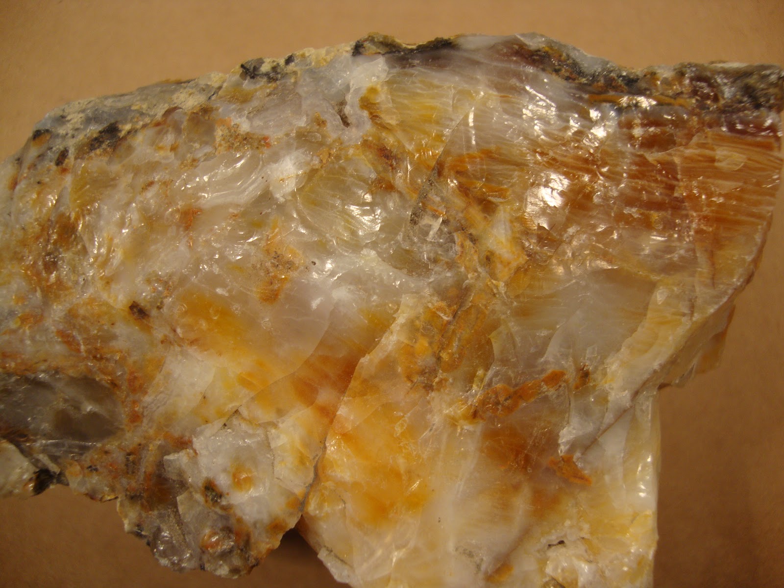 CSMS GEOLOGY POST: UTAH PETRIFIED WOOD AND FLOWER CHILDREN