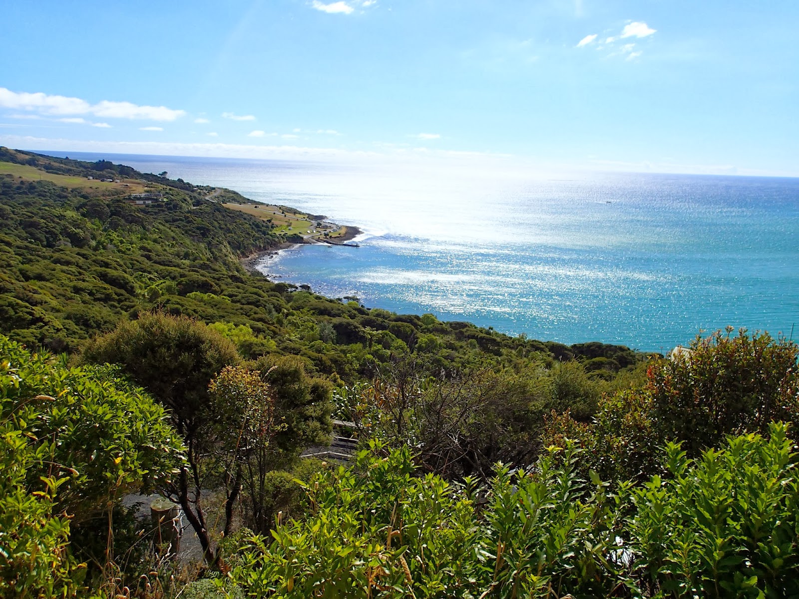 All Things Visible...: Raglan, New Zealand