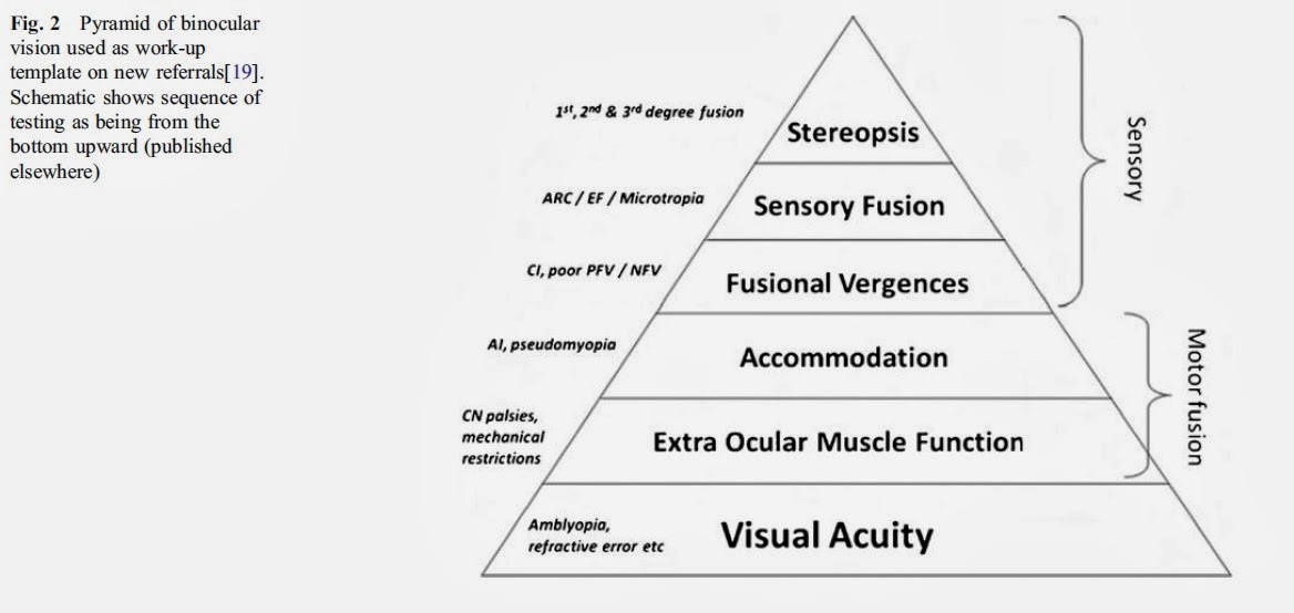 Getting past double vision one day at a time: Some vision testing in ...