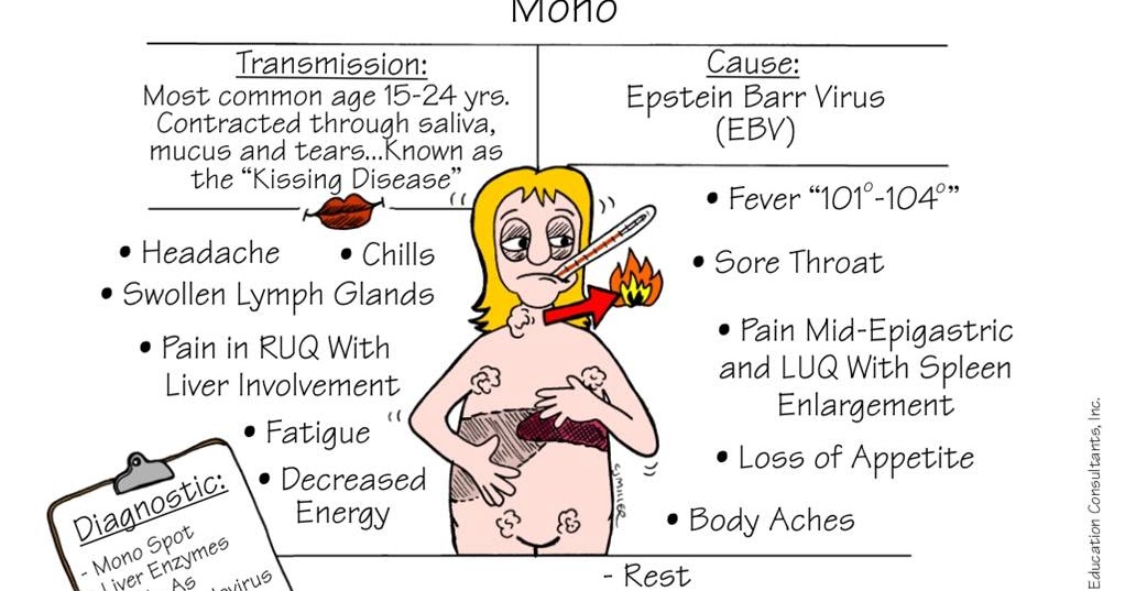 bastainvestment - Blog