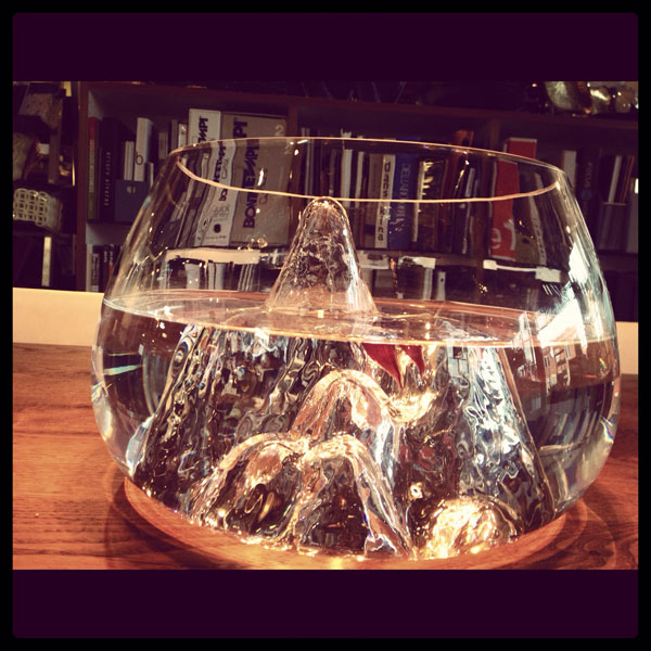 Harve & Polly: a fish with a view