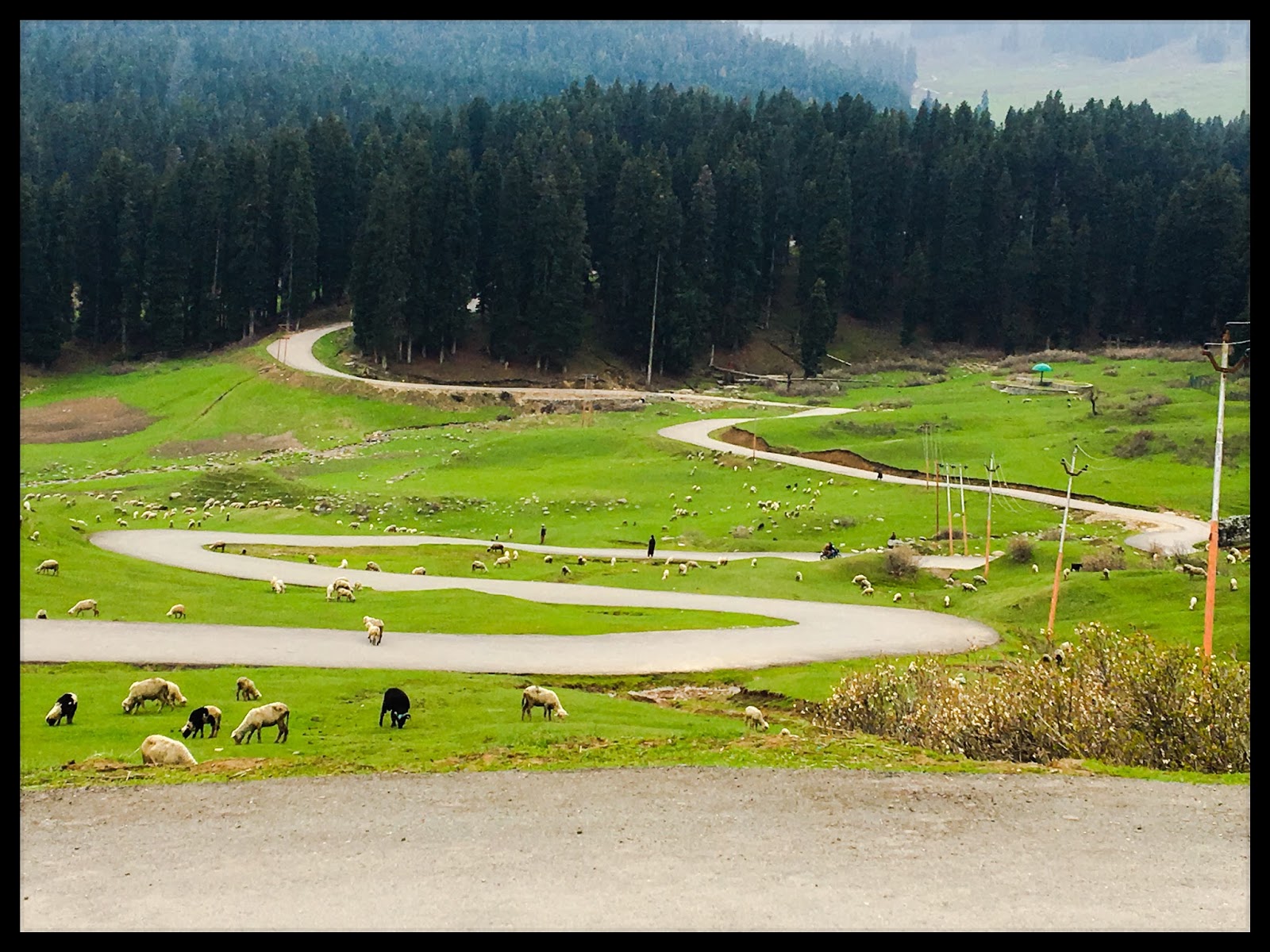 Doodhpathri, explore an unexplored Kashmir!