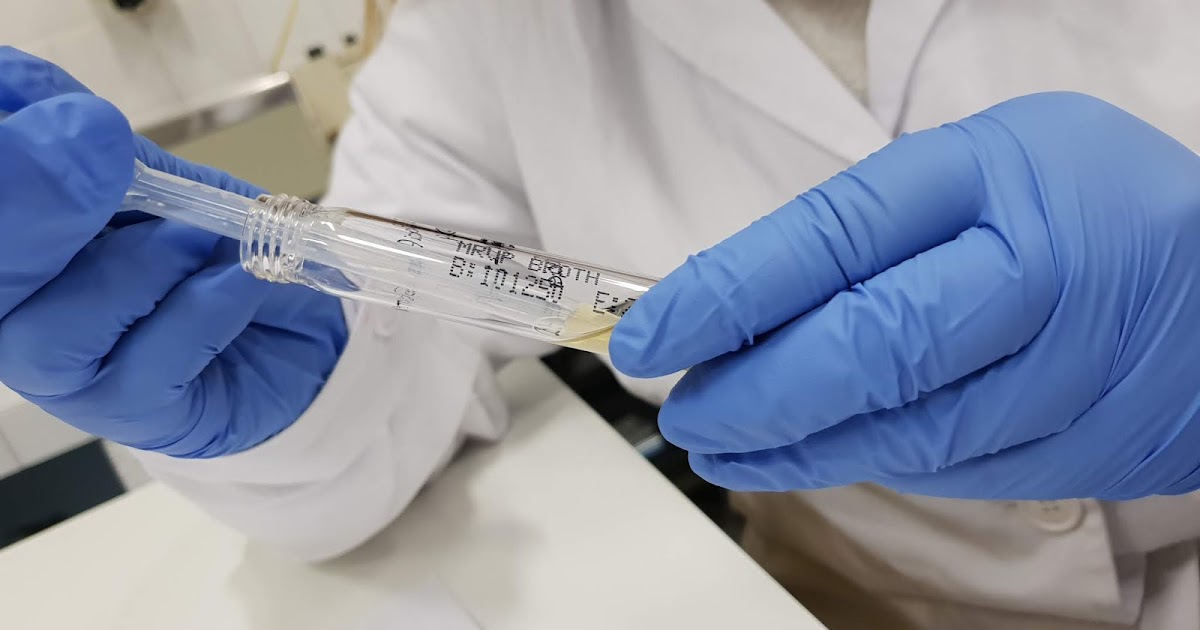 Microbiología!!👩‍🔬🔬: MRVP