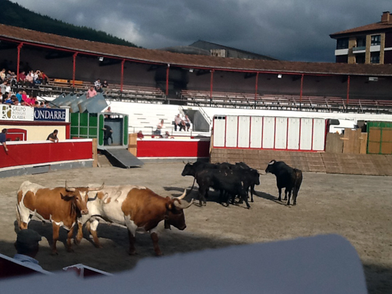 Paz Domingo: Azpeitia en el recuerdo (1)