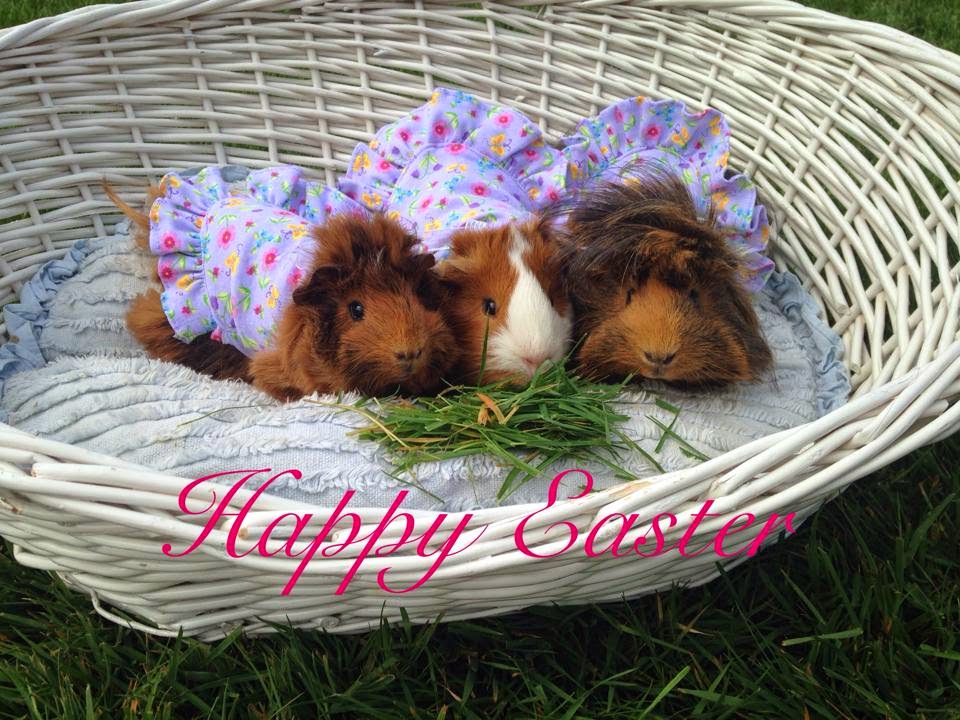 For the love of white: Wisteria and a Lovely Easter Weekend