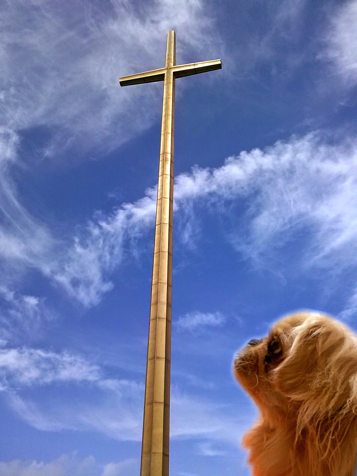 Gooberella: Worlds tallest cross