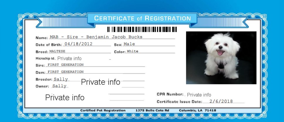 Maltese Angel Babies Blog: Register Your Puppy At Certified Pet ...