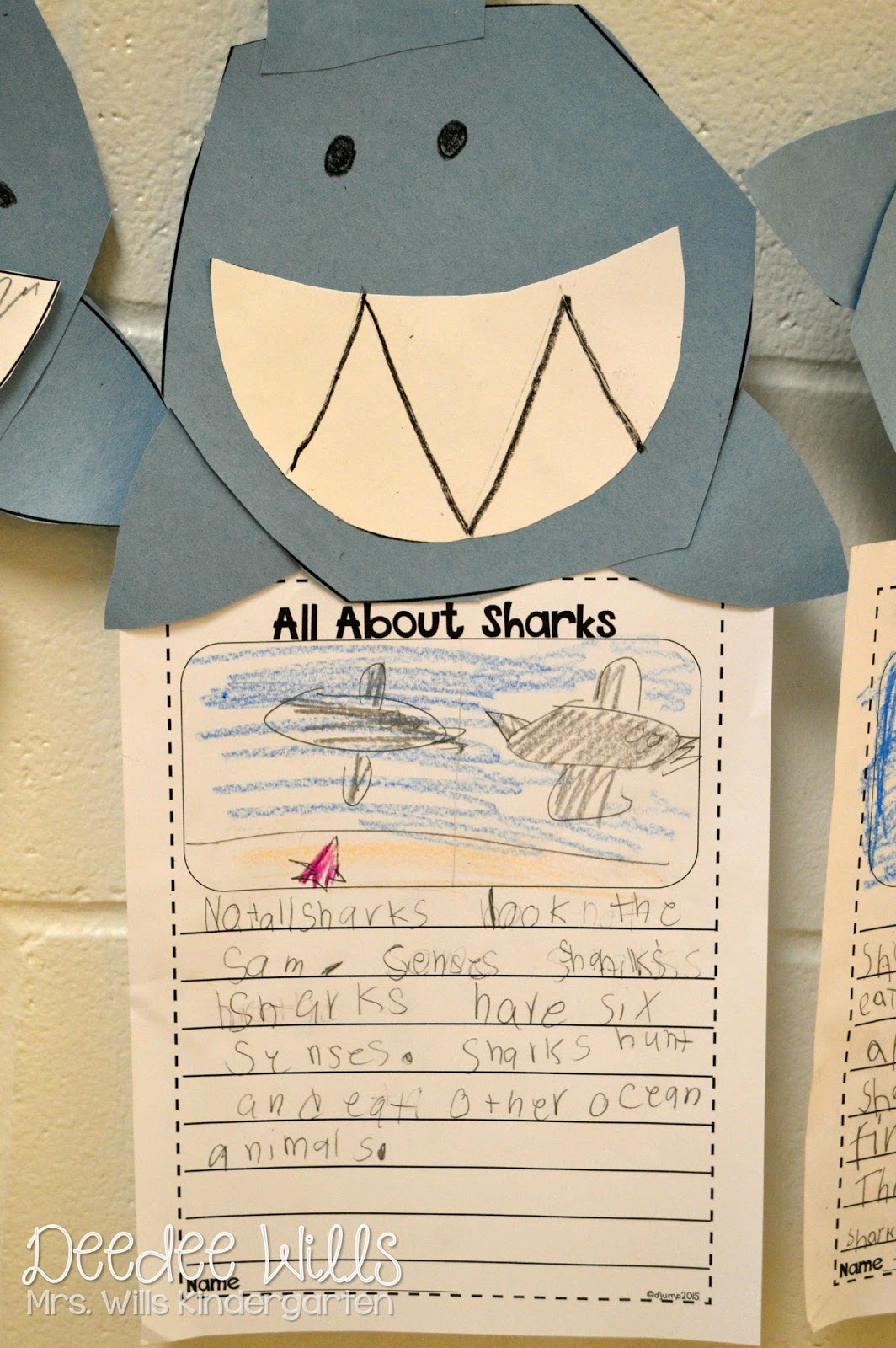 Ocean Week Lesson Plans for Kindergarten & 1st