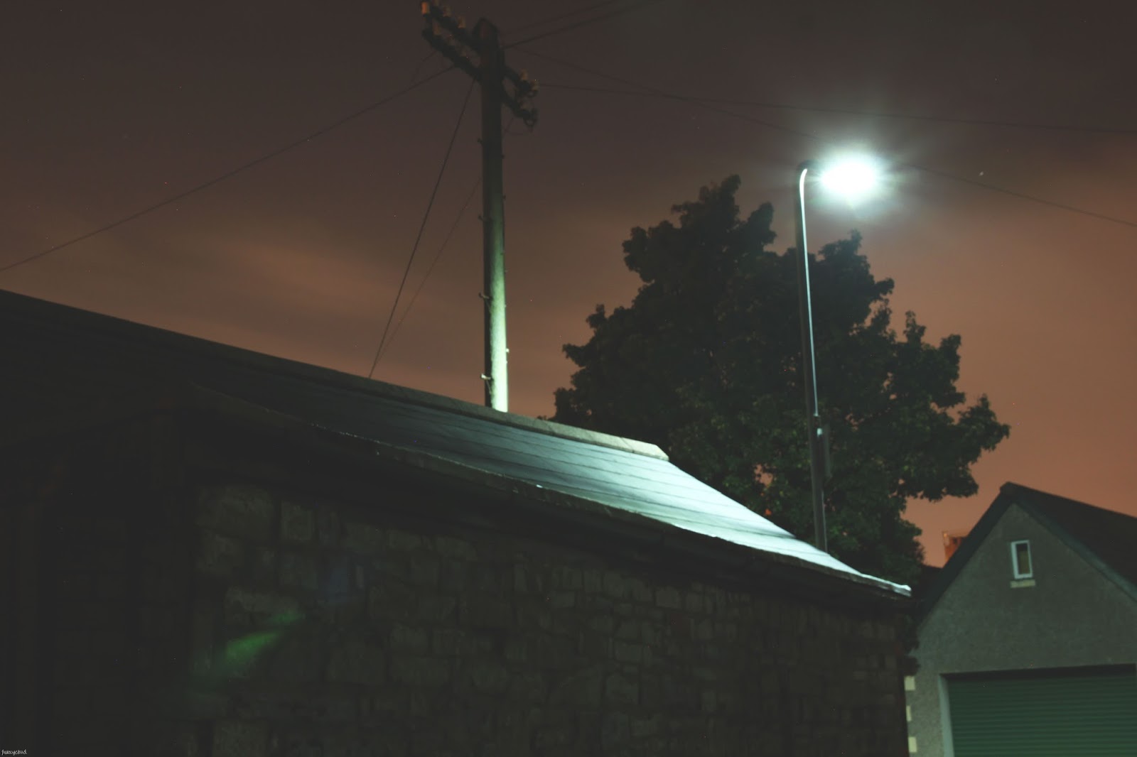 Everything looks different in the dark