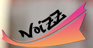 Banda Noizz: Perfil
