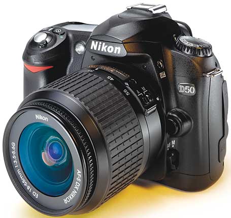 Best Camera For Action Shots: The Best Nikon SLR Cameras
