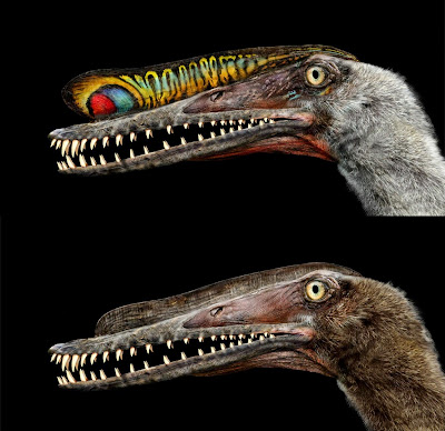 pan-Aves: Ohlédnutí za pterosauřími objevy roku 2014, díl 4 ...