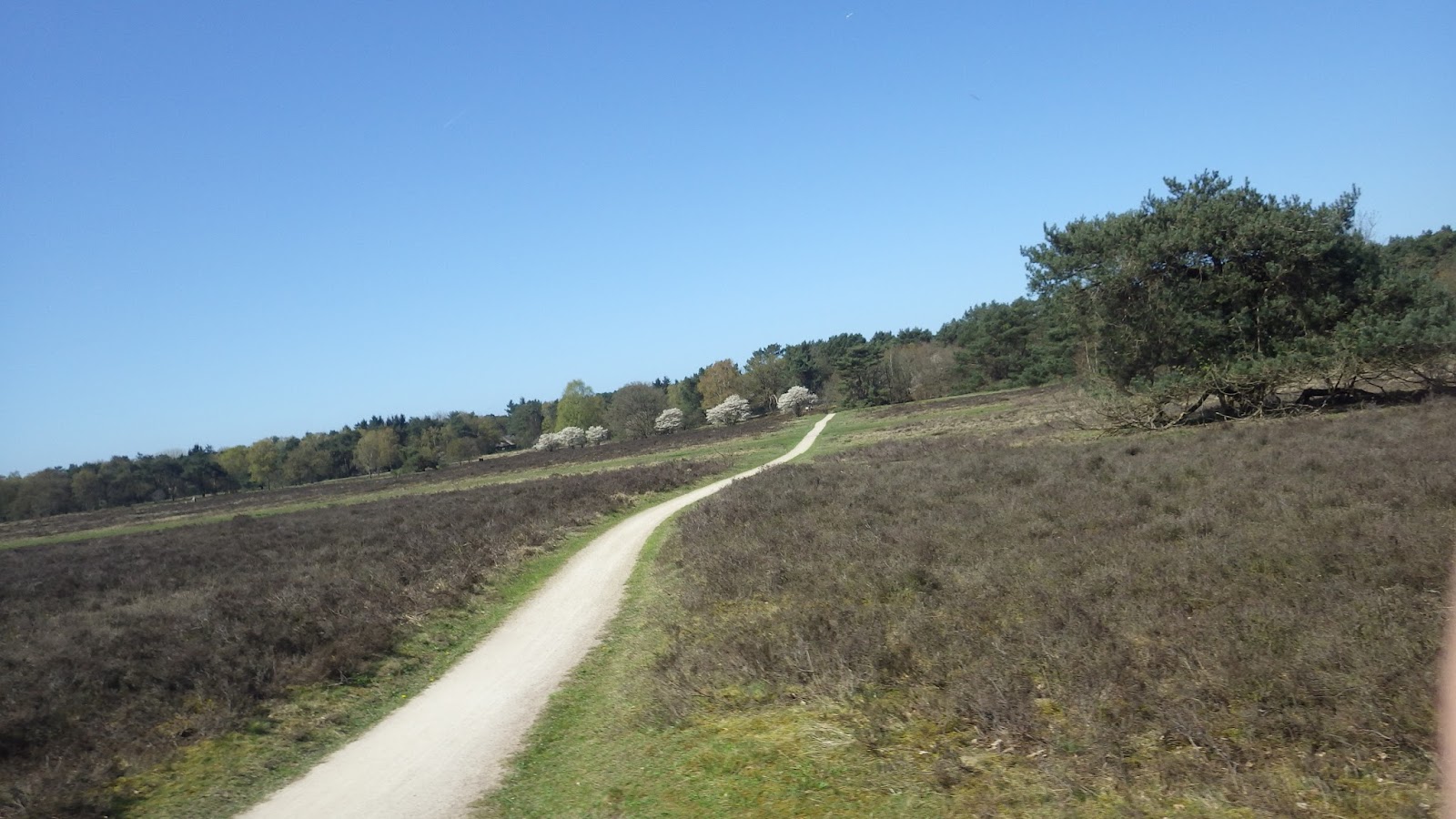 Moesker's Moestuin: Mooi Gooi.