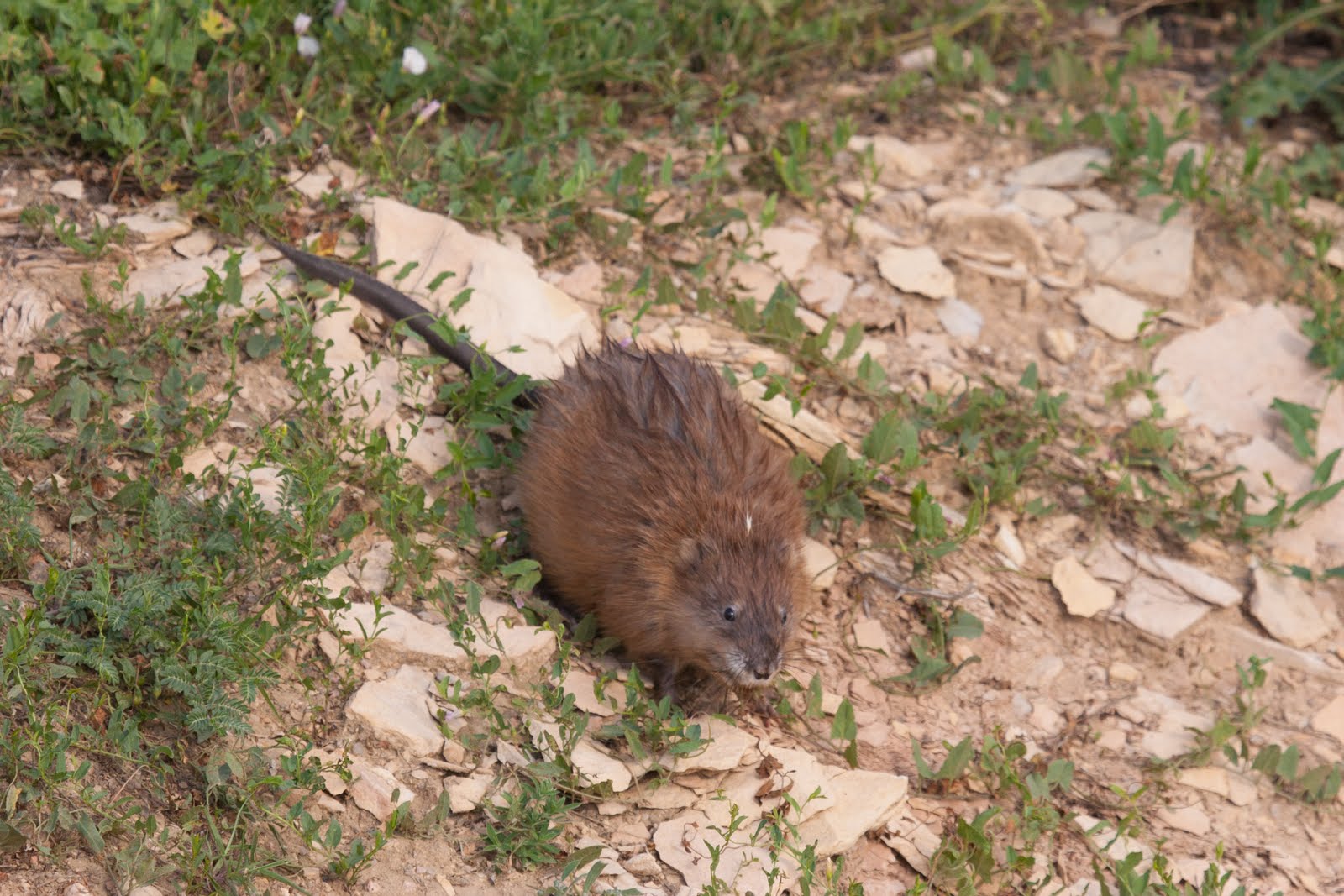 Daily(ish) Photo: Colorado