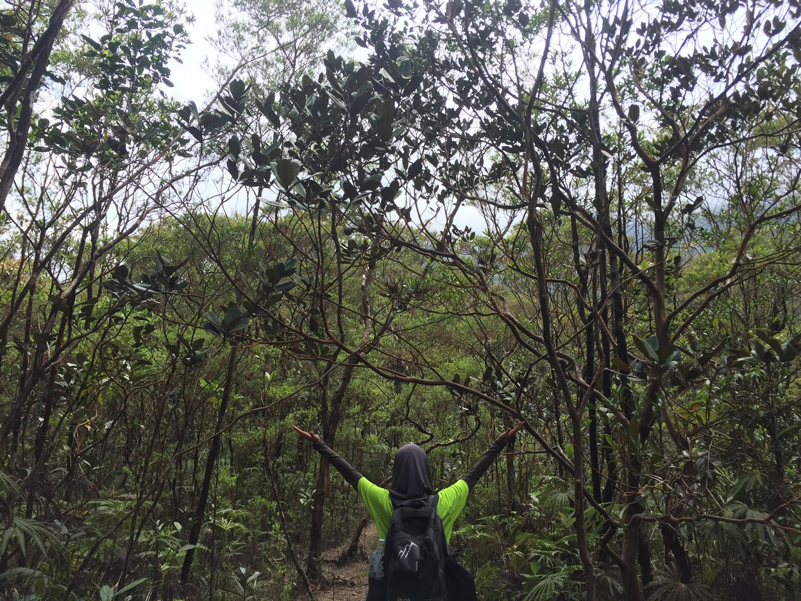 Live, where your heart finds life ツ: Gunung Sarut