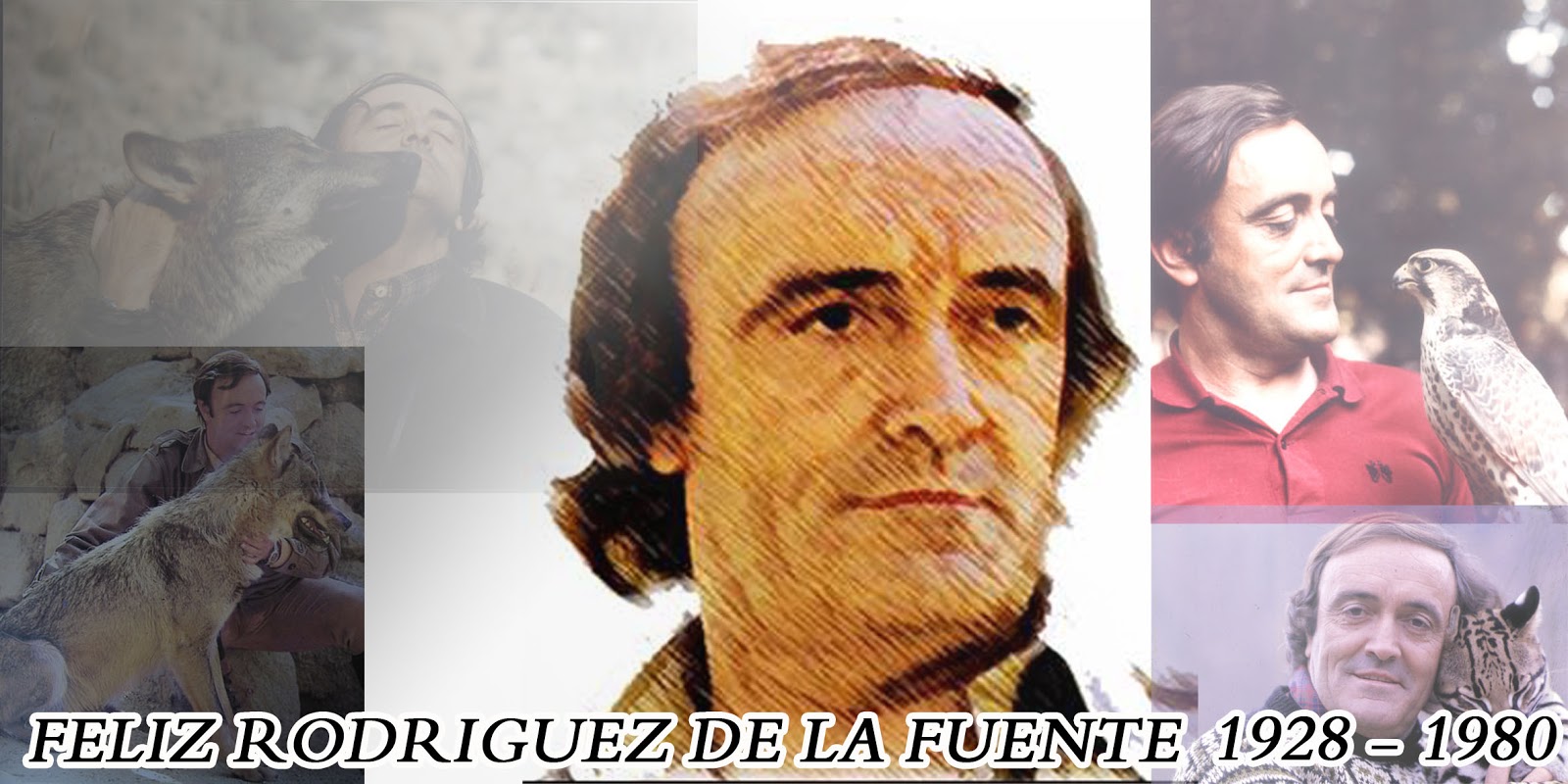 Dejame que te cuente como ve el mundo mi objetivo.: 33 años de la ...