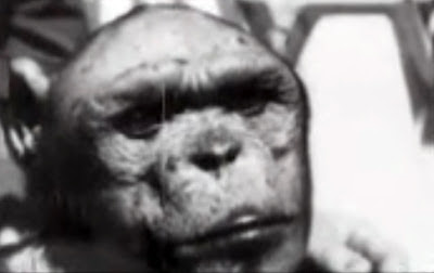 La verdad será revelada: CRIPTOZOOLOGÍA 01